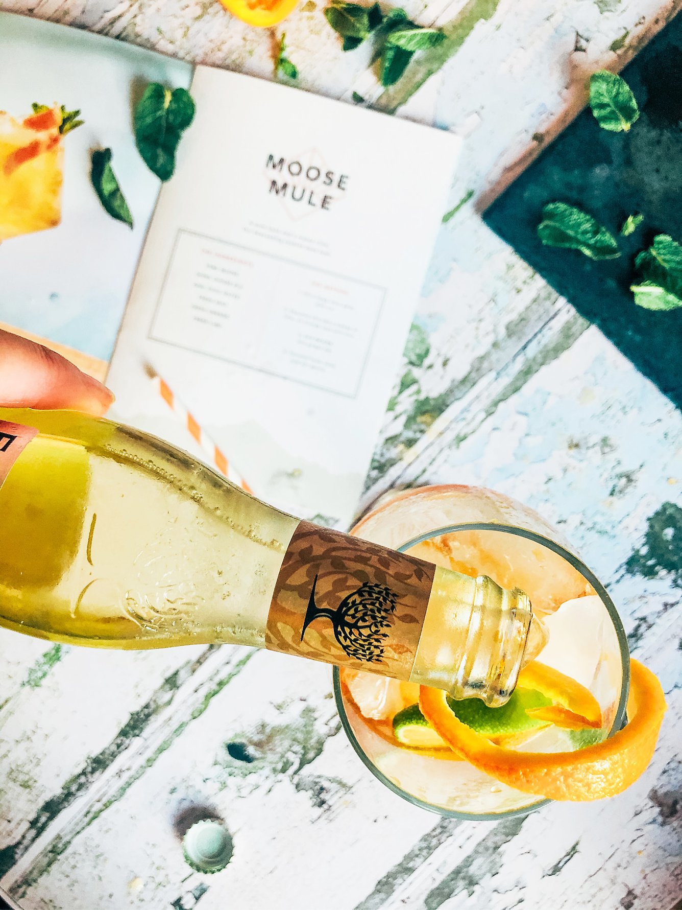 Moscow Mule Cocktail Recipe (With Moose) Extraordinary Chaos