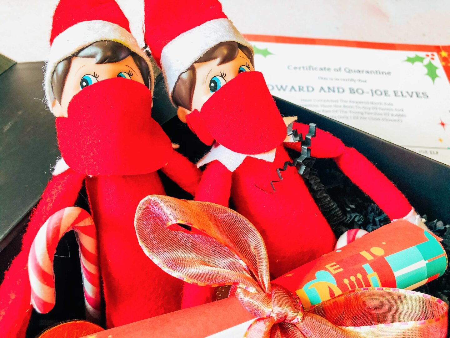 Elf On The Shelf Quarantine Kit (& Vaccination Cert) ⋆ Extraordinary Chaos