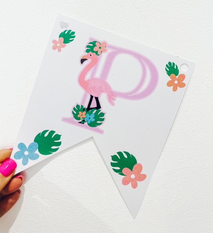 Free Printable Flamingo Alphabet And Numbers ⋆ Extraordinary Chaos