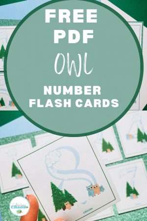 Free Printable Snowy Owl Number Flash Cards ⋆ Extraordinary Chaos