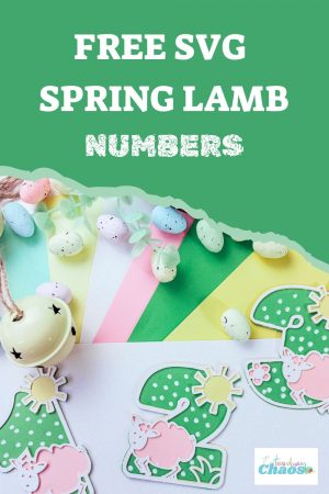 Free Spring Lamb Numbers ⋆ Extraordinary Chaos