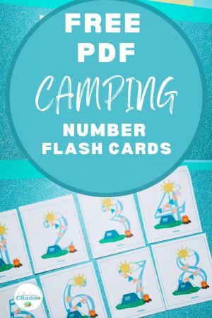 Free Printable Camping Number Flash Cards ⋆ Extraordinary Chaos